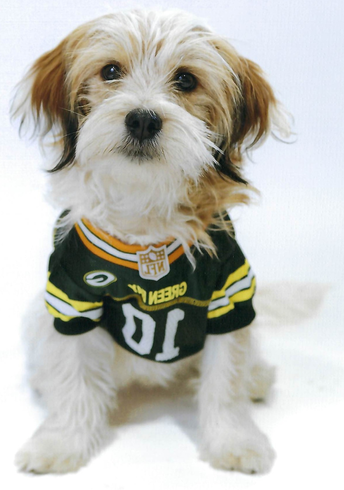 The Packer Project - The Brain Injury Resource Center of Wisconsin